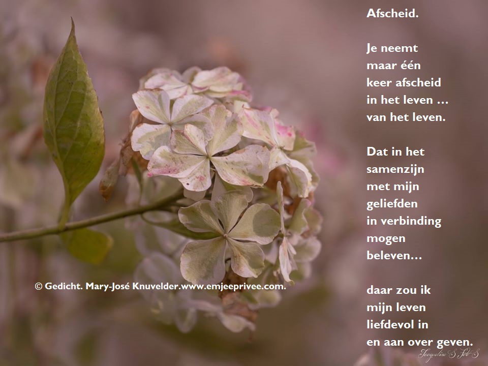 Afscheid En Veel Geluk Gedichten Gedichten Voor Tijdens Een Uitvaart