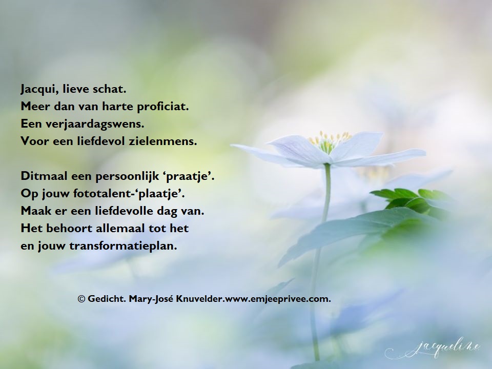 Lieve Schat Quotes