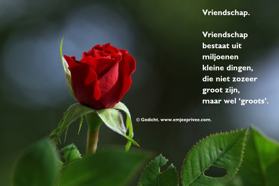 Vriendschapscitaten En Gedichten