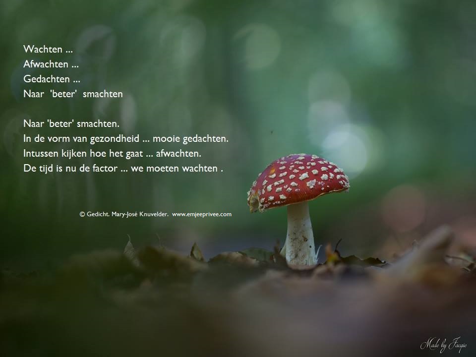 Verlies, Verdriet & Rouw – EmJeePrivee